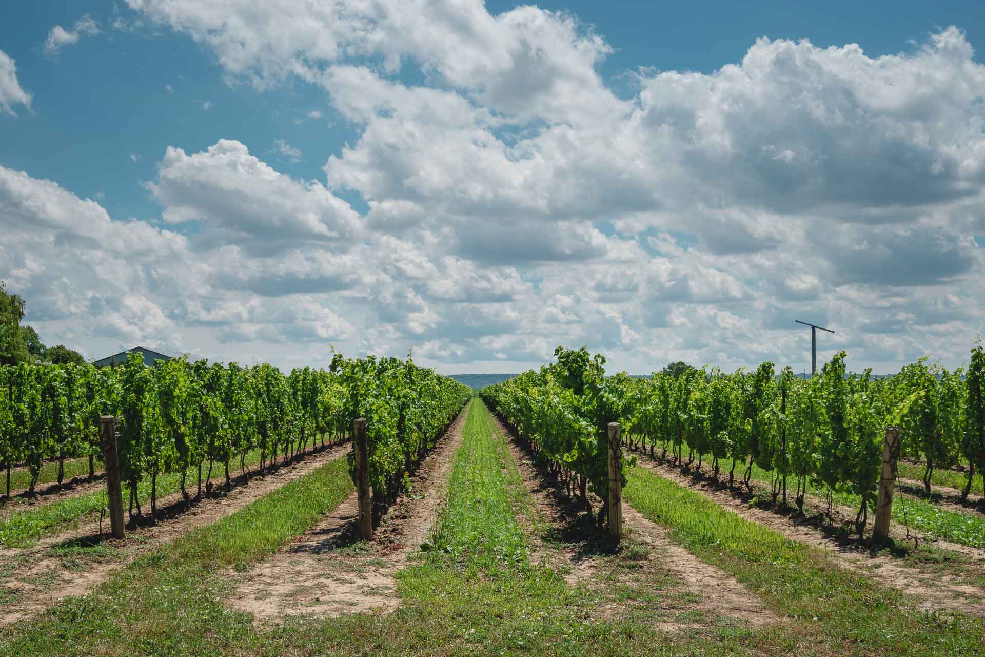 The Ultimate Guide To Prince Edward County, Ontario - InfinityFlights